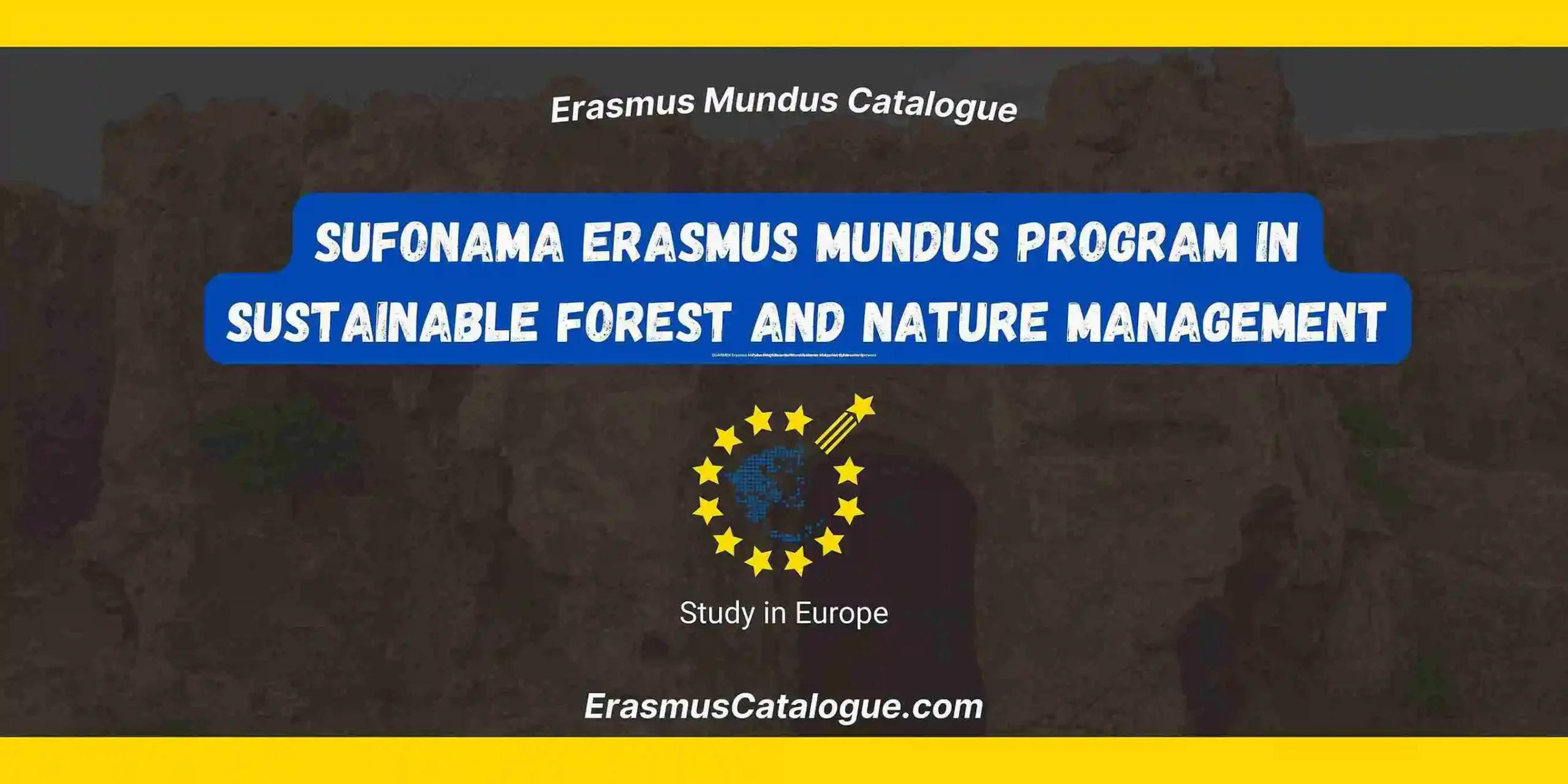 SUCAT Erasmus Mundus Master in Sustainable Catalysis